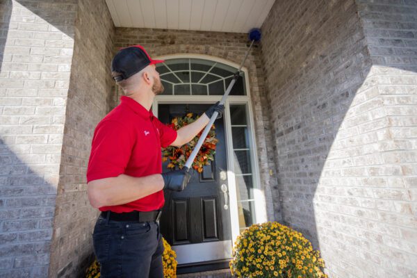 About ABC Termite and Pest Conrol | Omaha & Lincoln, Nebraska