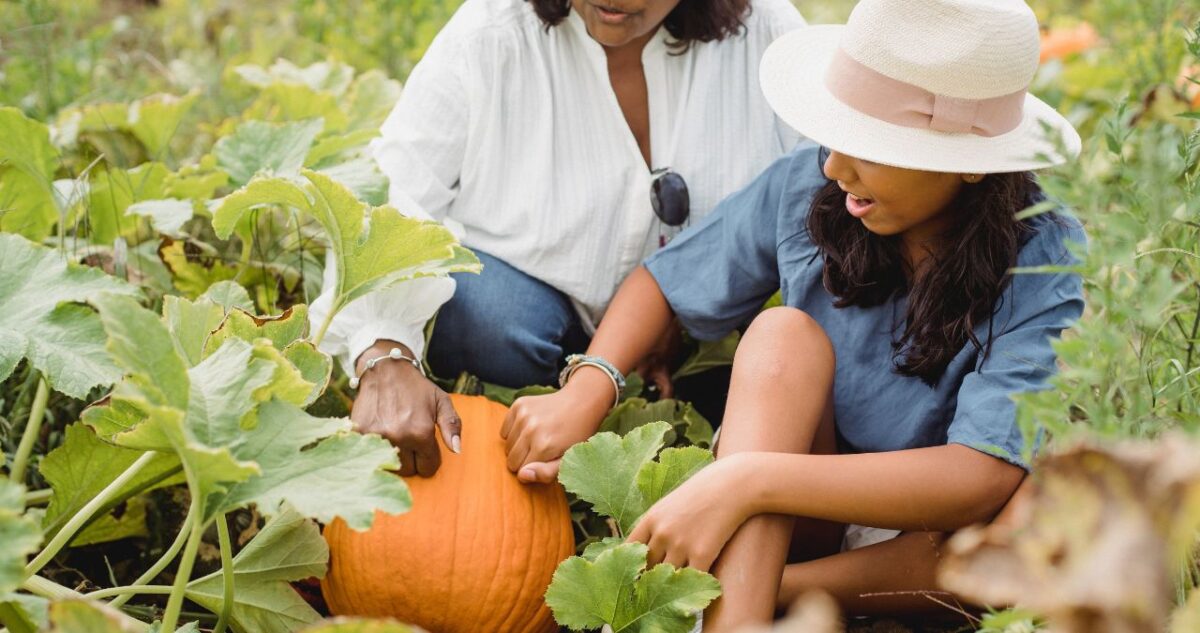 Do Pumpkins Attract Pests? - ABC Termite & Pest Control