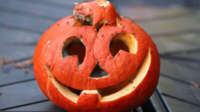 Post-Halloween Pest Prevention: What Decorations Leave Behind